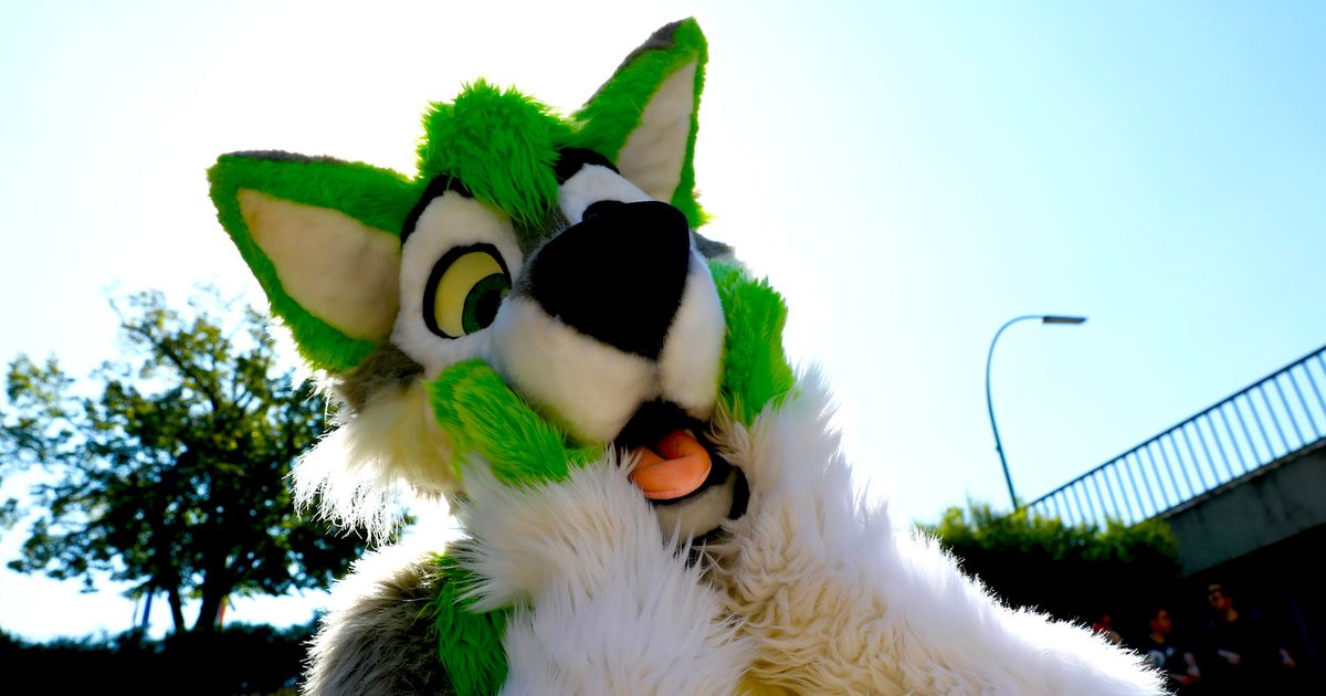 Furries Stop Domestic Assault Outside San Jose FurCon