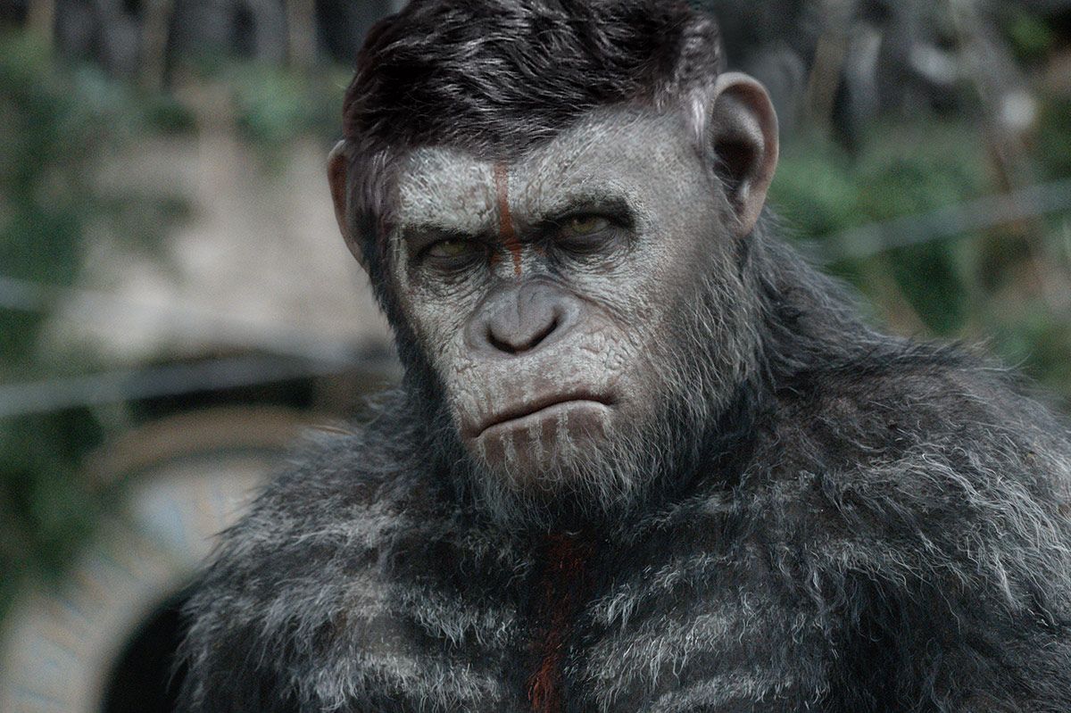 6 Pics of Caesar from ‘Planet of the Apes’ with a Caesar