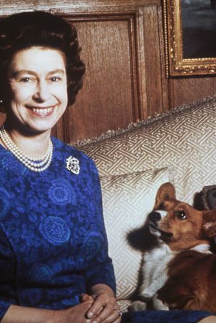 See Queen Elizabeth With Corgis, a Panda, Elephants, and Other Animals
