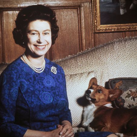 See Queen Elizabeth With Corgis, a Panda, Elephants, and Other Animals