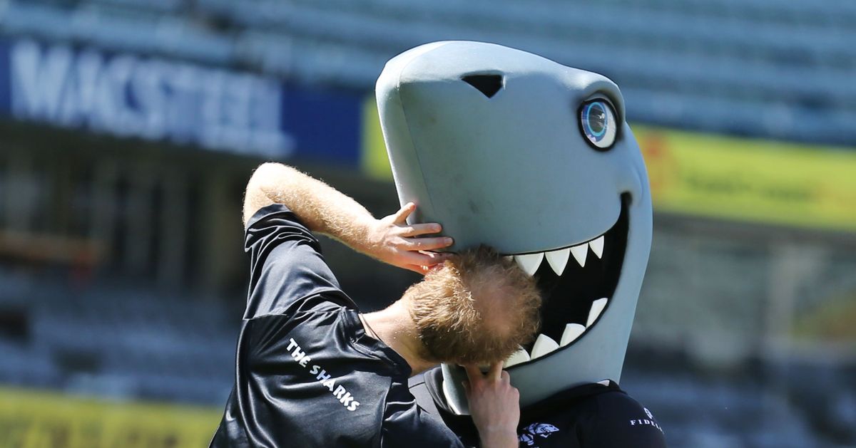 Just Prince Harry Casually Making Out With a Shark