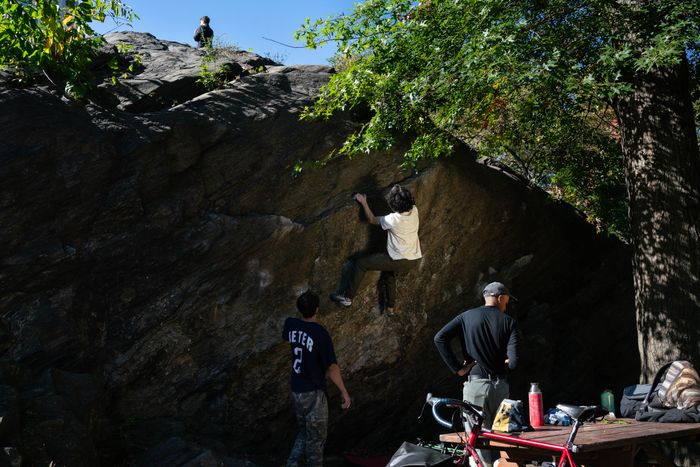 The Rock Climbers and Stewards of Central Park’s Boulders