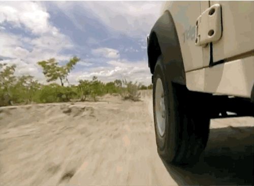 Most Amazing Amazing Race Injuries