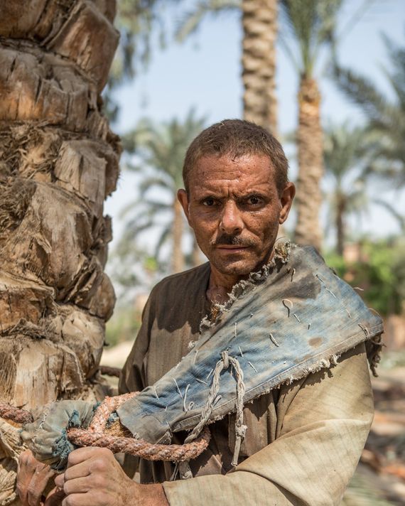 Photographer Christina Rizk on Date-Palm Harvesting in Egypt