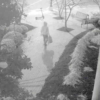 FBI Arrested Brian Cole As the D.C. Pipe-Bomb Suspect
