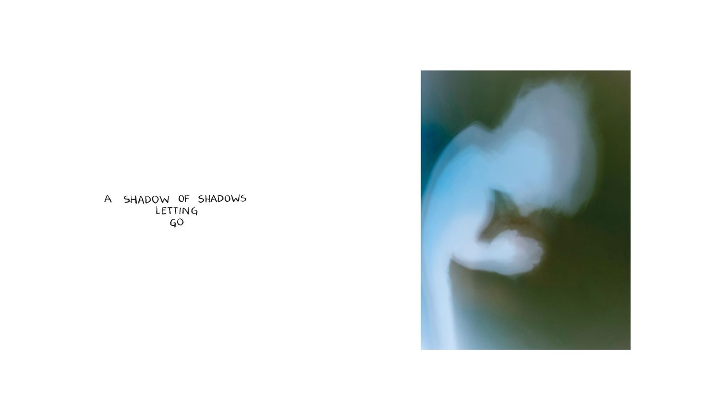 Keanu Reeves Wrote a Book About Shadows