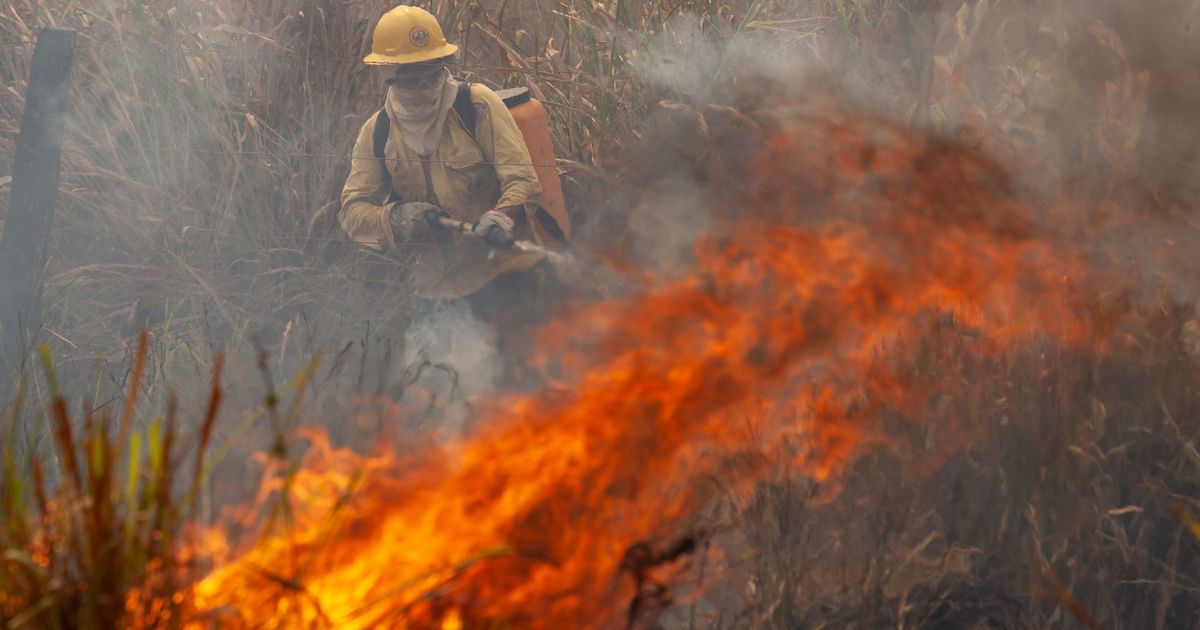 Fires Rage in Amazon Rain forest, the Pantanal in Brazil