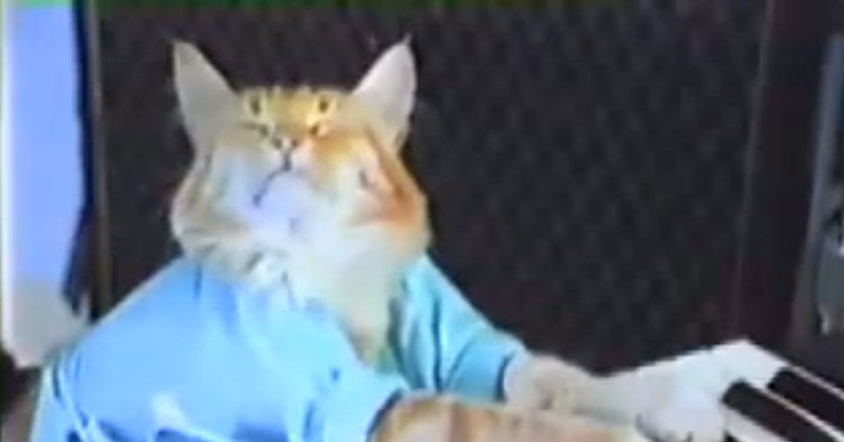 Keyboard Cat and Nyan Cat Come Out Ahead in Lawsuit Against Warner Bros.