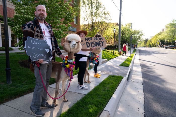 What’s Johnny Depp’s Deal With Alpacas at Defamation Trial?