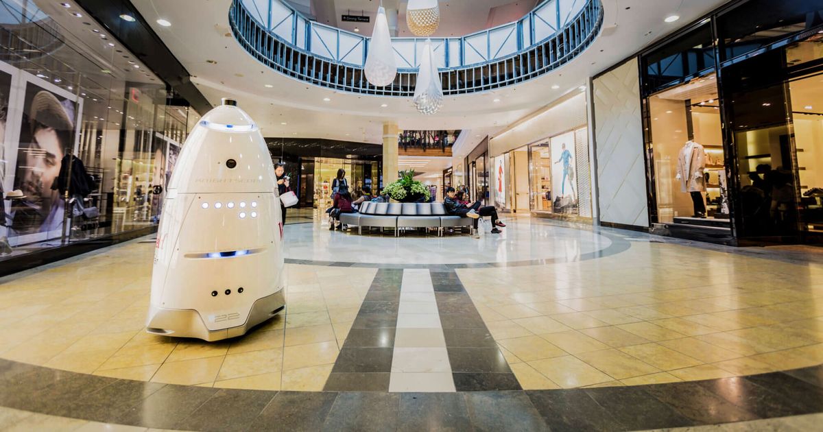 Drunk Man Arrested for Beating Up Robot Security Guard