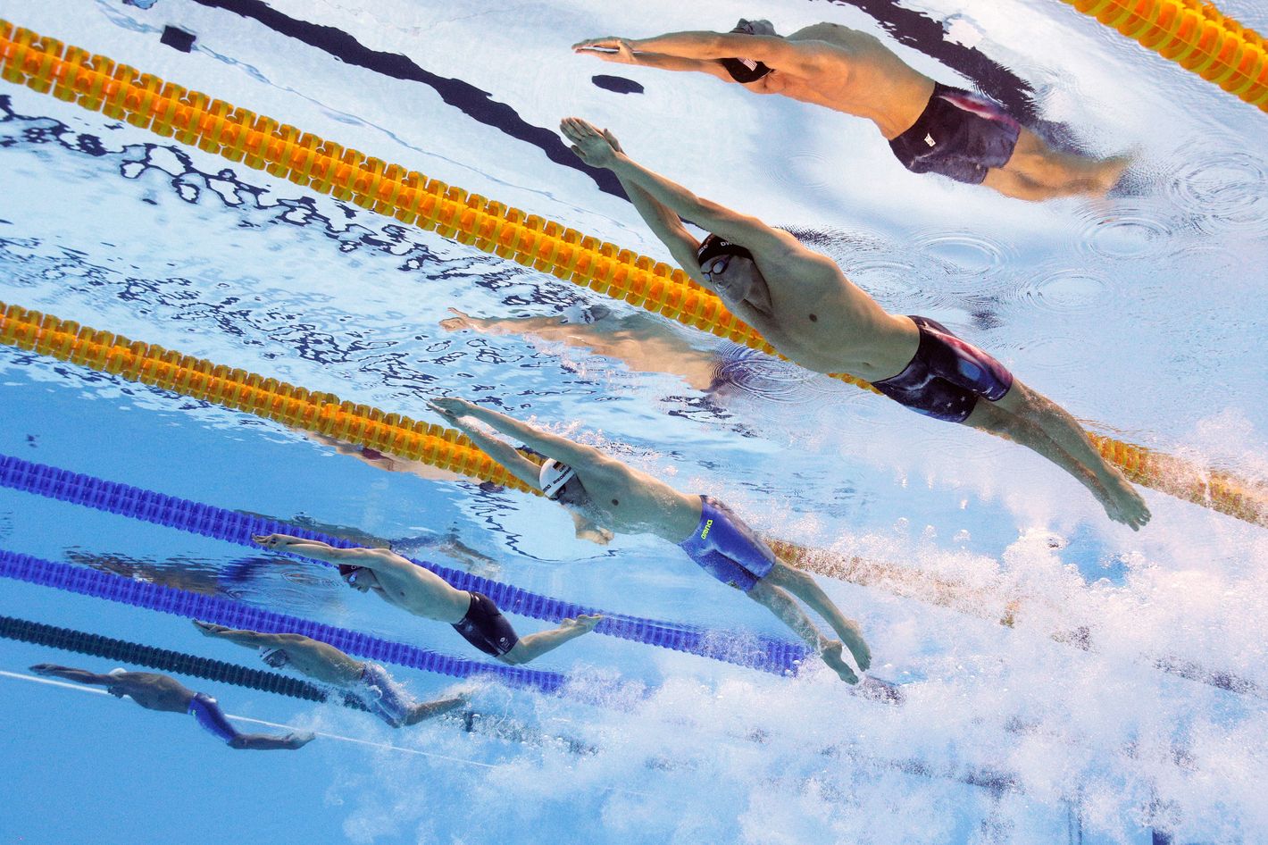 A Different View of Olympic-Champion Swimmers