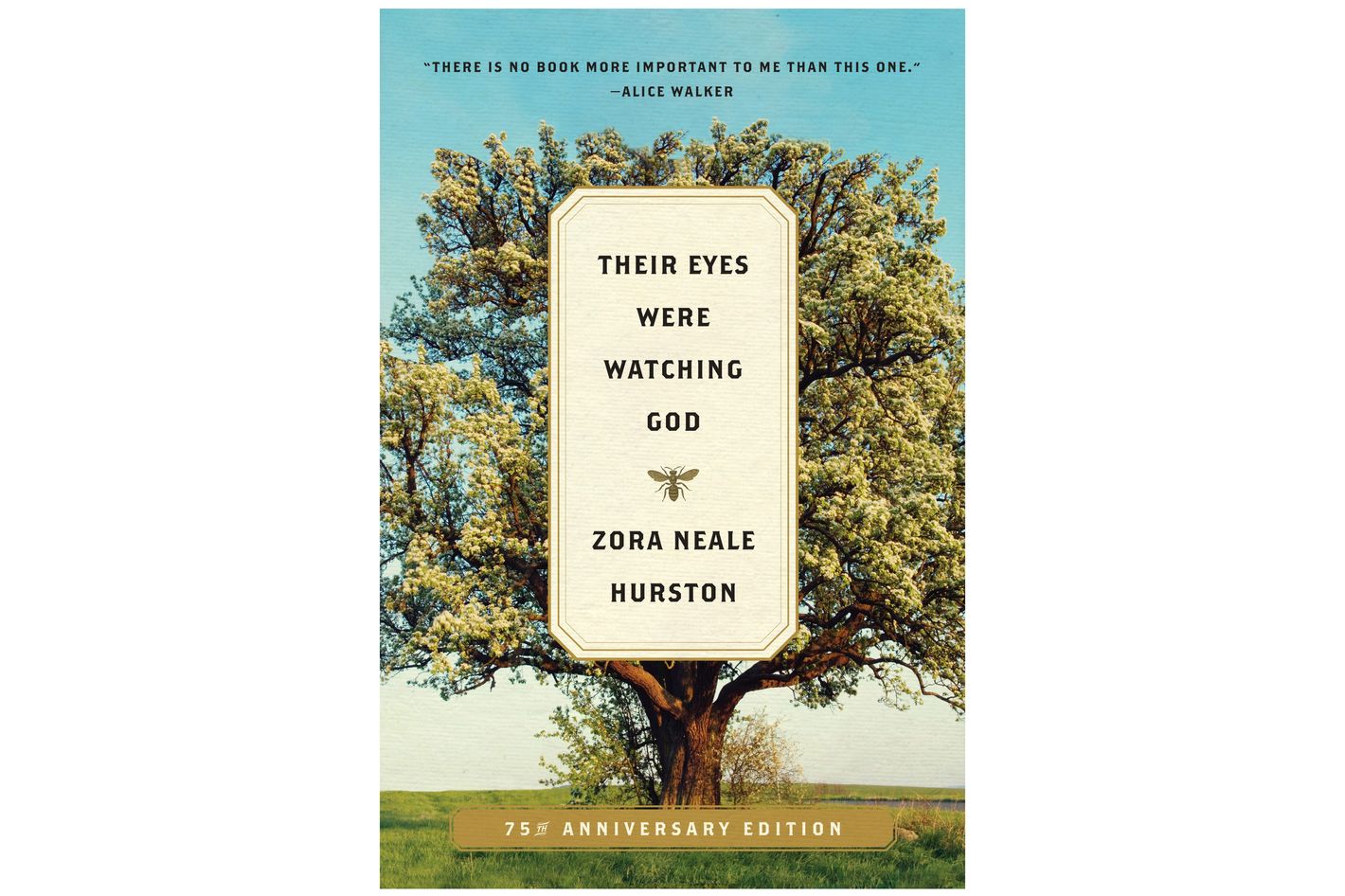 Ava DuVernay on Their Eyes Were Watching God