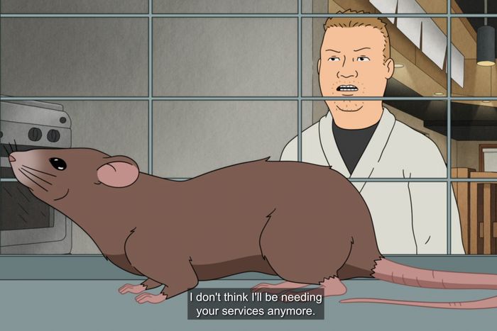 The Many Reasons to Love ‘King of the Hill’’s Adult Bobby