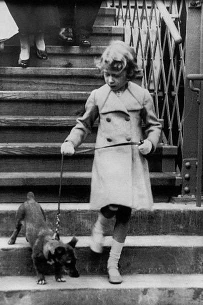 See Queen Elizabeth With Corgis, a Panda, Elephants, and Other Animals