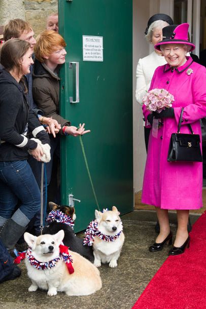 See Queen Elizabeth With Corgis, a Panda, Elephants, and Other Animals