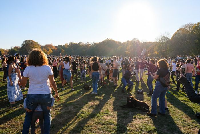 Scenes From Your Election Celebration