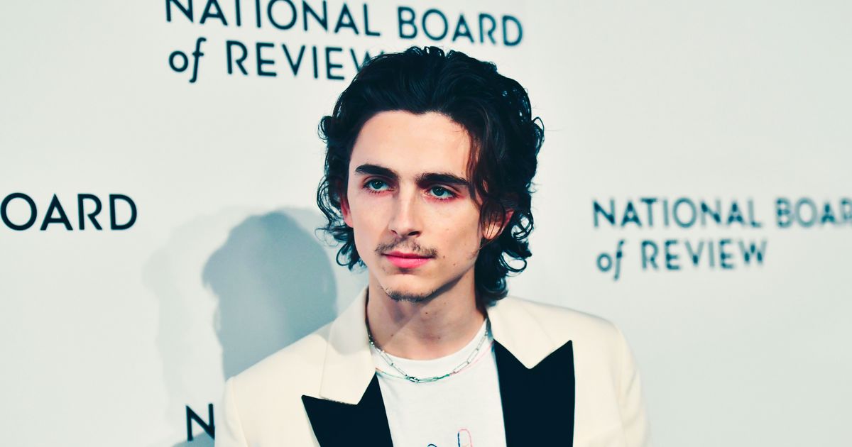 Timothée Chalamet Debuts Tiny Moustache at Gala