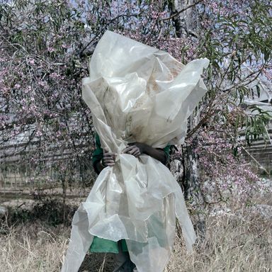 See a Gallery of Jackie Nickerson’s Striking Photo Series ‘Terrain ...