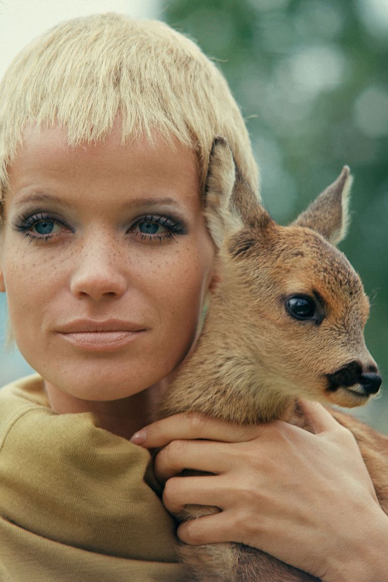 On Her Birthday, Iconic Shots of Sixties Model Veruschka