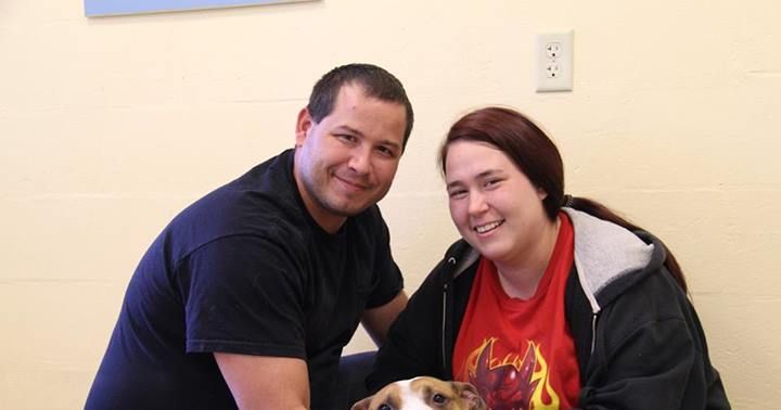 Dog Lost in Hurricane Sandy Miraculously Reunited With Owners 18 Months ...