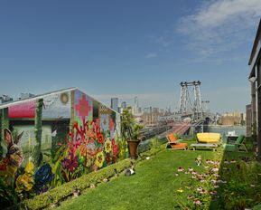 Curbed | Love where you live