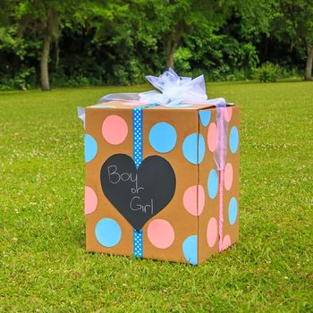 5 Gender-Reveal Party Disasters: Fires, Explosions, & More