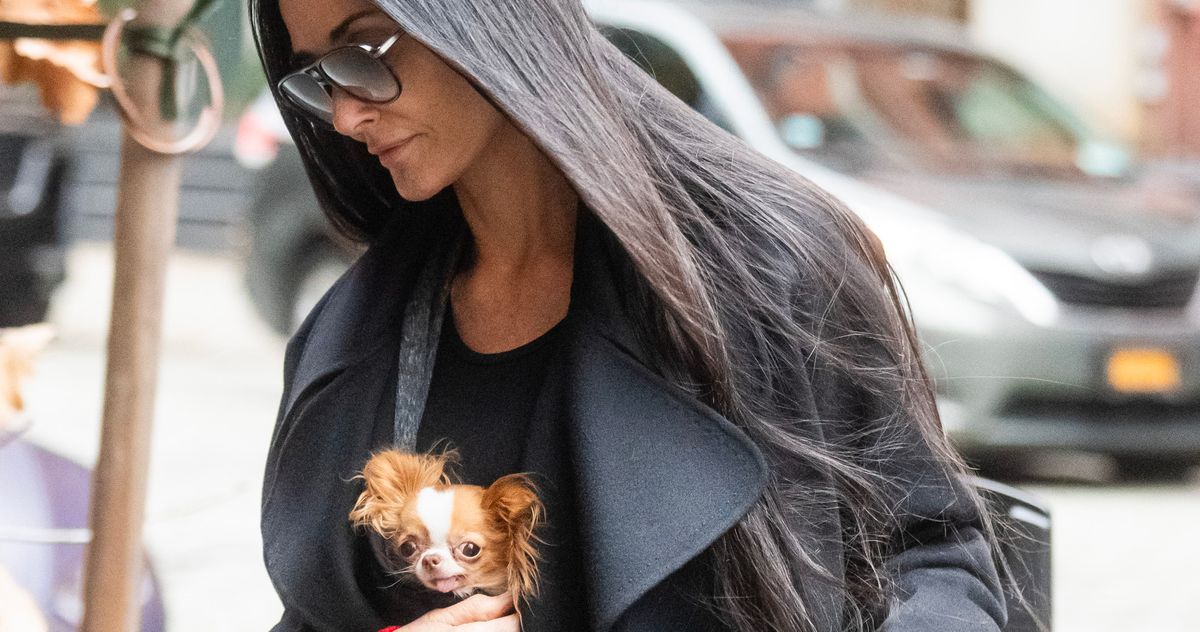 Who Is Demi Moore’s Tiny Dog? What to Know About Pilaf.