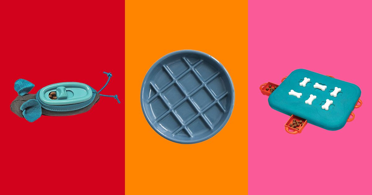 13 Best Food Puzzles for Cats and Dogs 2022 | The Strategist