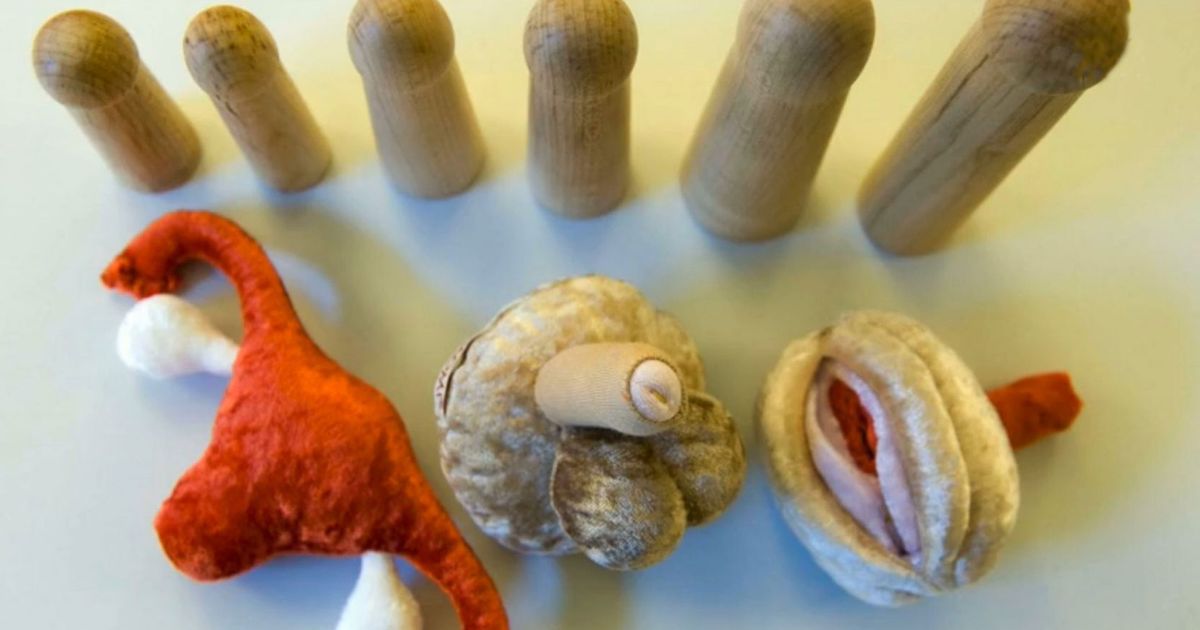 Look at the Cool Penis Toys Swiss Kids Got