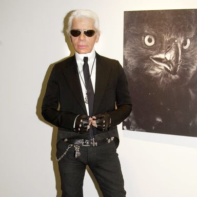 The Karl Lagerfeld Look Book