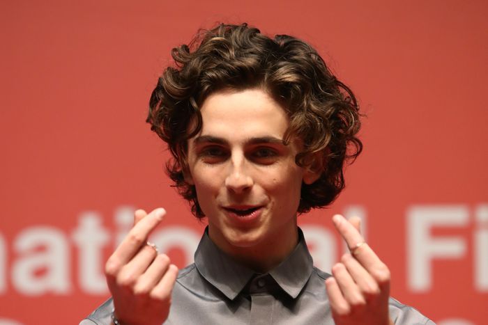 15 Very Good Photos of Timothée Chalamet’s Very Good Hair