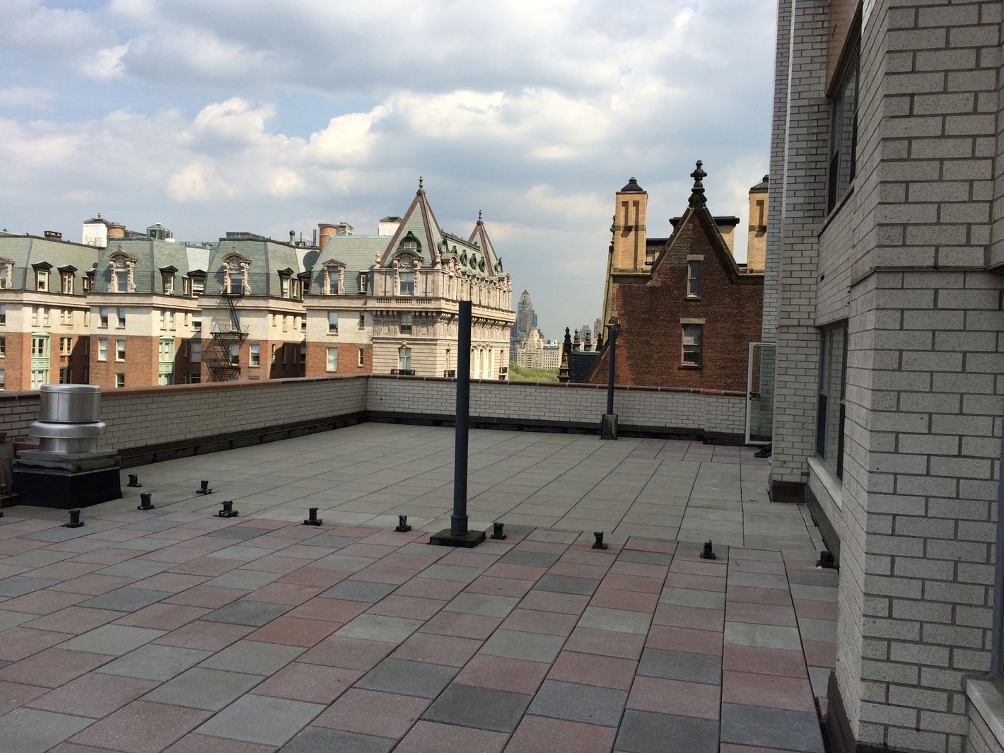 Creating a Leafy Green Oasis on a Manhattan Terrace