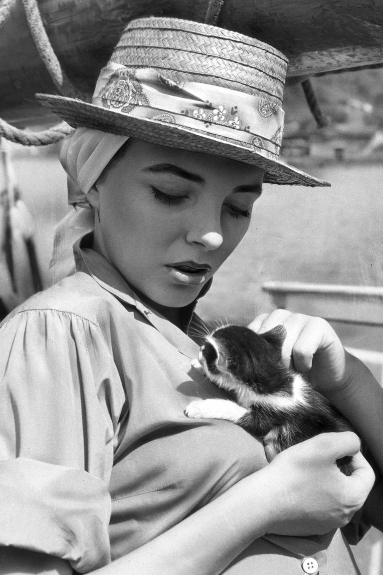The 50 Most Fabulous (and Famous) Cat Ladies of All Time