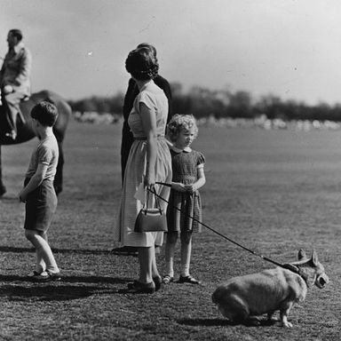 See Queen Elizabeth With Corgis, a Panda, Elephants, and Other Animals