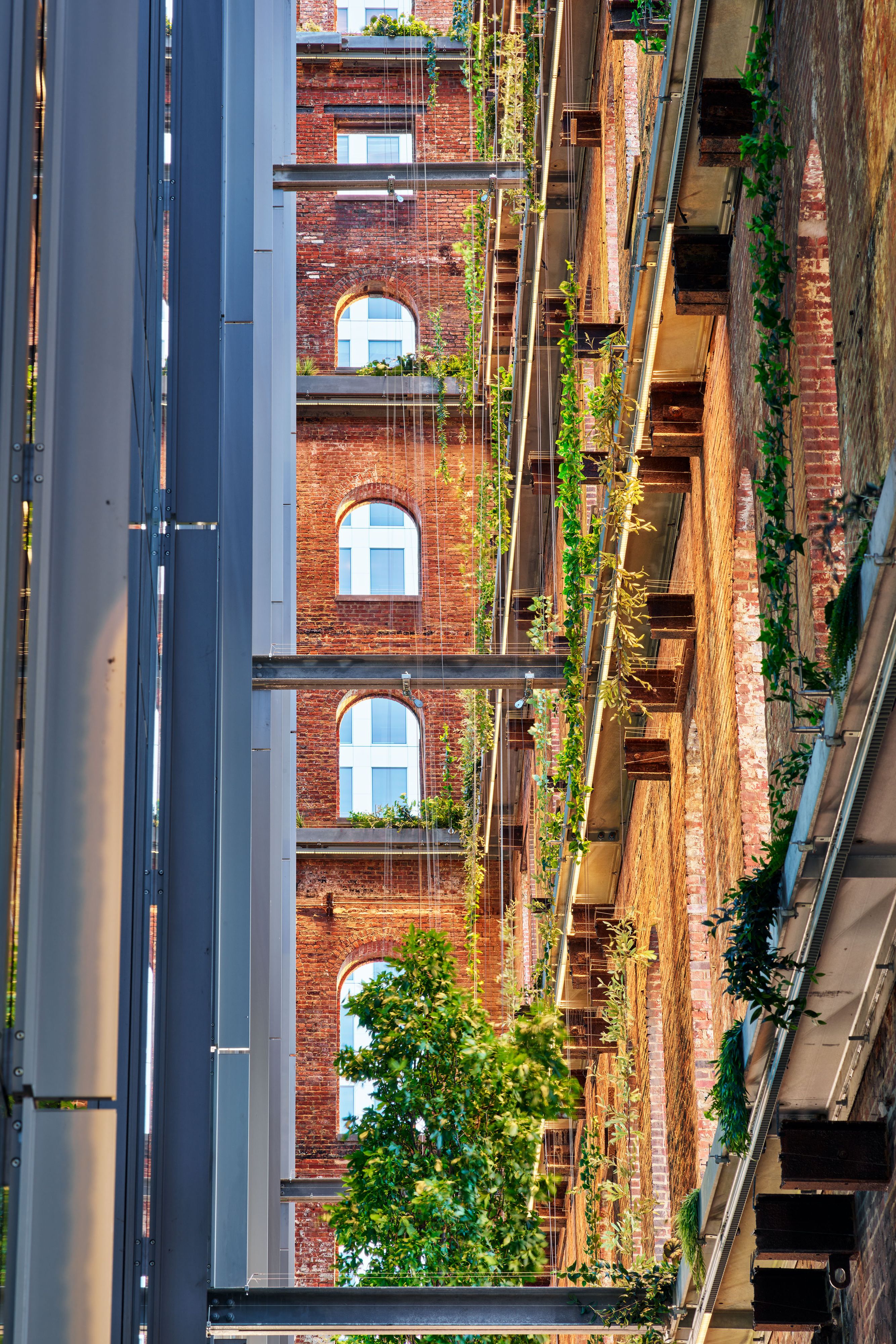 Architecture Review: Domino Sugar in Brooklyn