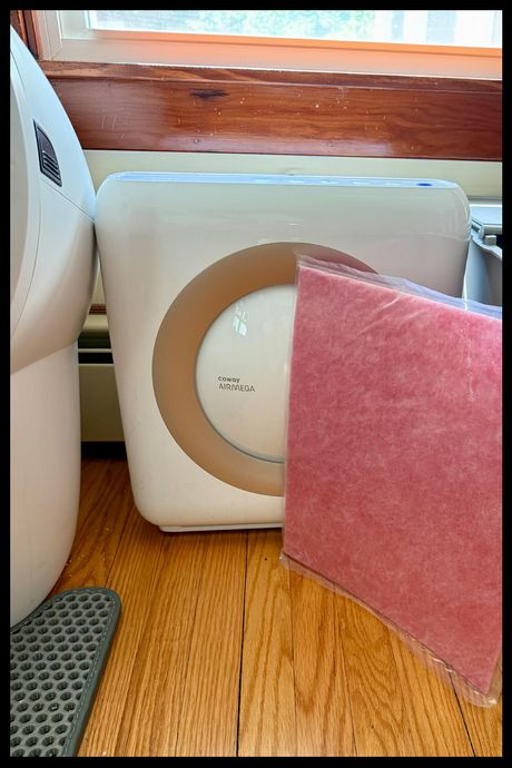The 9 Best Air Purifiers | The Strategist