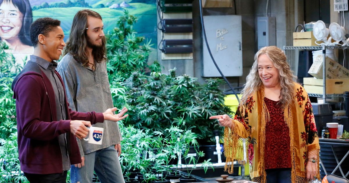 ‘Disjointed’ Netflix Review