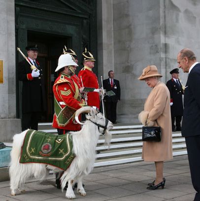 See Queen Elizabeth With Corgis, a Panda, Elephants, and Other Animals