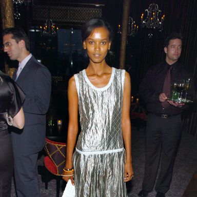 The Liya Kebede Look Book