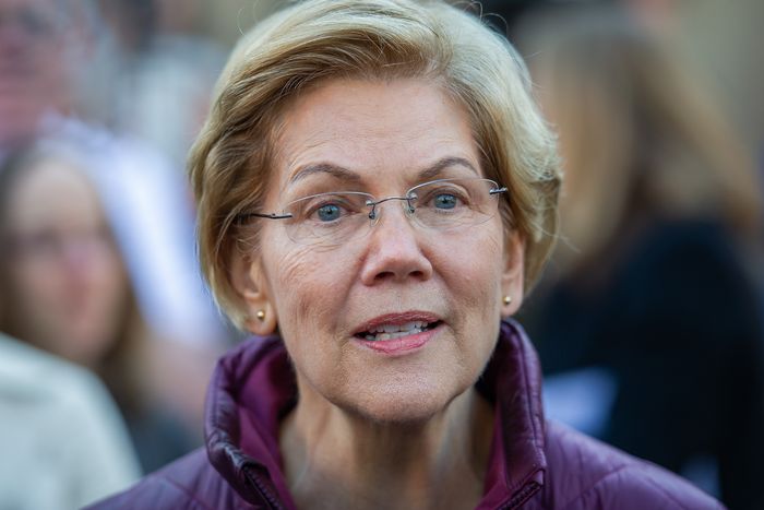 Inside The Race to Win Over Elizabeth Warren