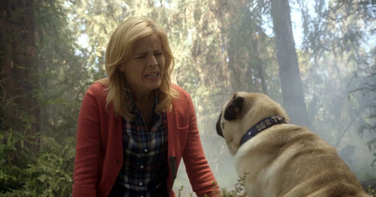 Lady Dynamite Recap: Adventures of a Sheep-Herding Pug