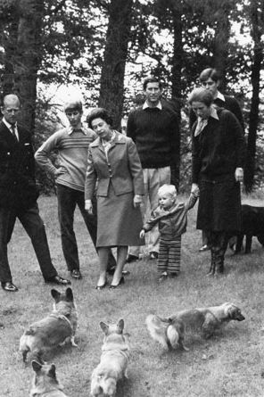 See Queen Elizabeth With Corgis, a Panda, Elephants, and Other Animals