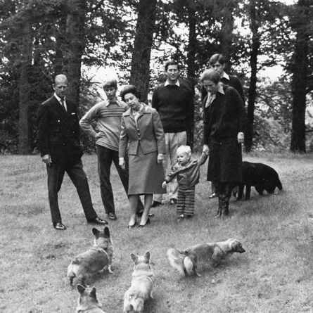 See Queen Elizabeth With Corgis, a Panda, Elephants, and Other Animals