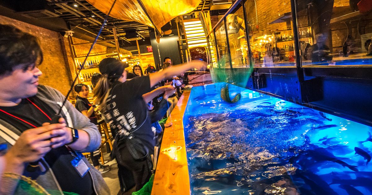 First Taste: Zauo NYC, Where Customers Catch Their Own Fish