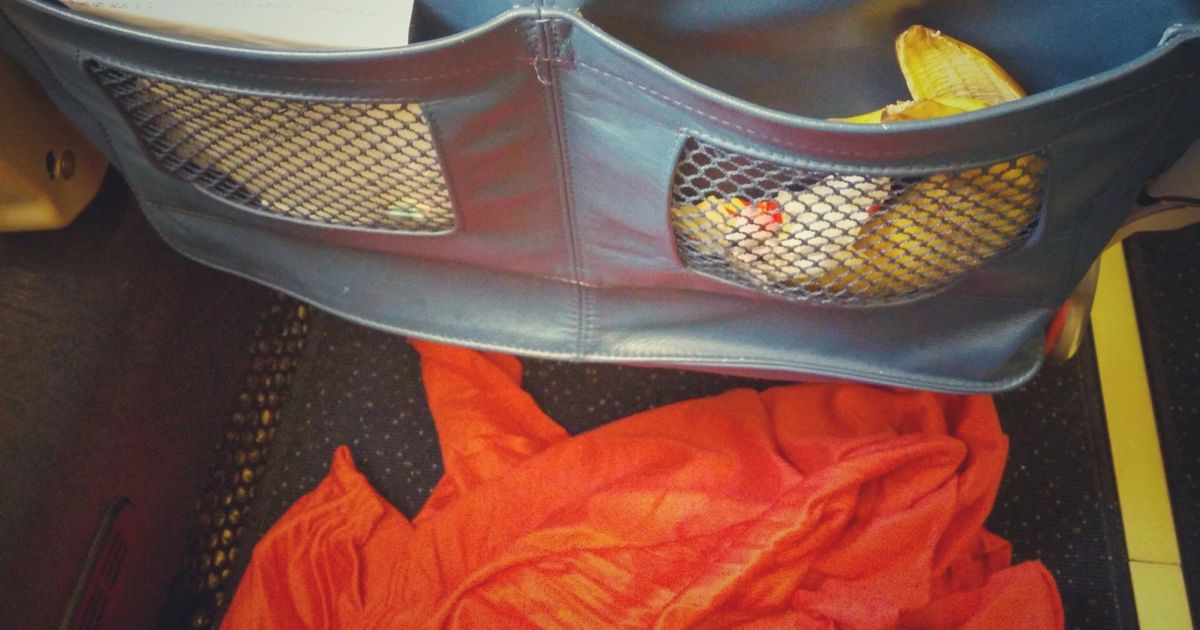 Woman Claims She Found Poop in Her Plane Blanket on Delta