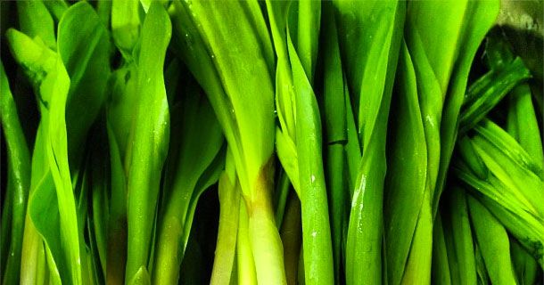 Where the Ramps Are: Restaurants Serving Spring Vegetables Right Now