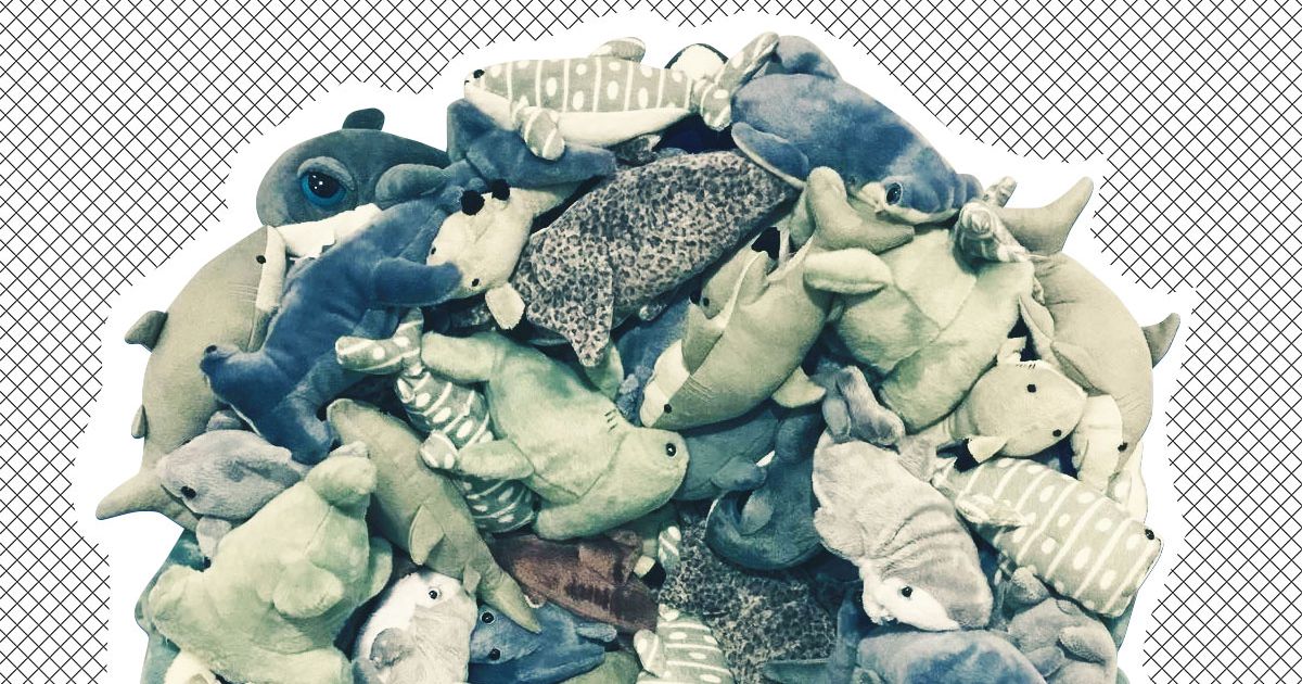 I Love Everything About This Shark Chair From Martha Stewart