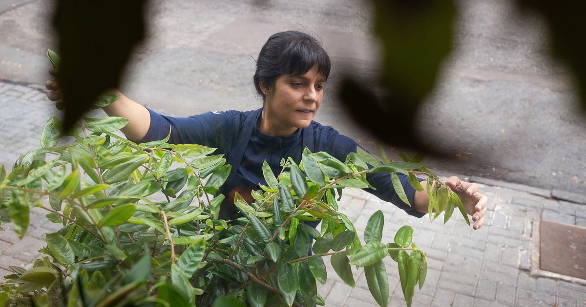 Chef Manu Buffara Will Open Ella in NYC