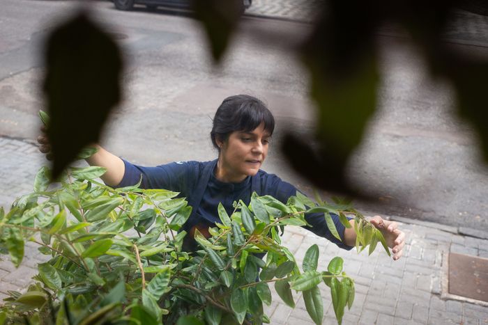 Chef Manu Buffara Will Open Ella in NYC