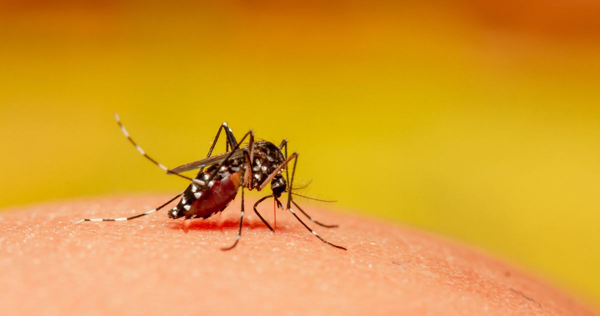 EPA Approves Long-Lasting Natural Insect Repellent